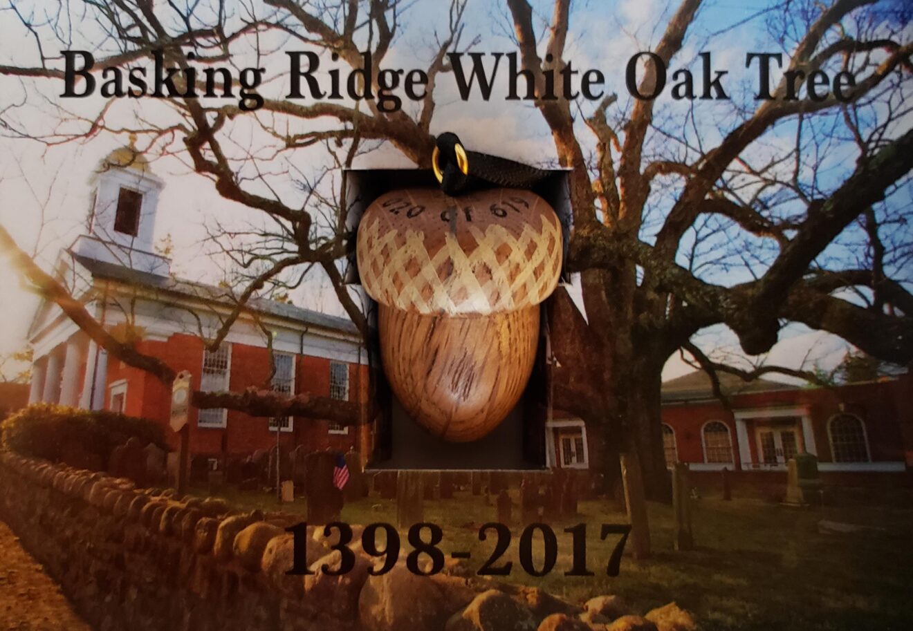 Basking Ridge Oak Tree Acorn Ornament - The Official Site for The ...