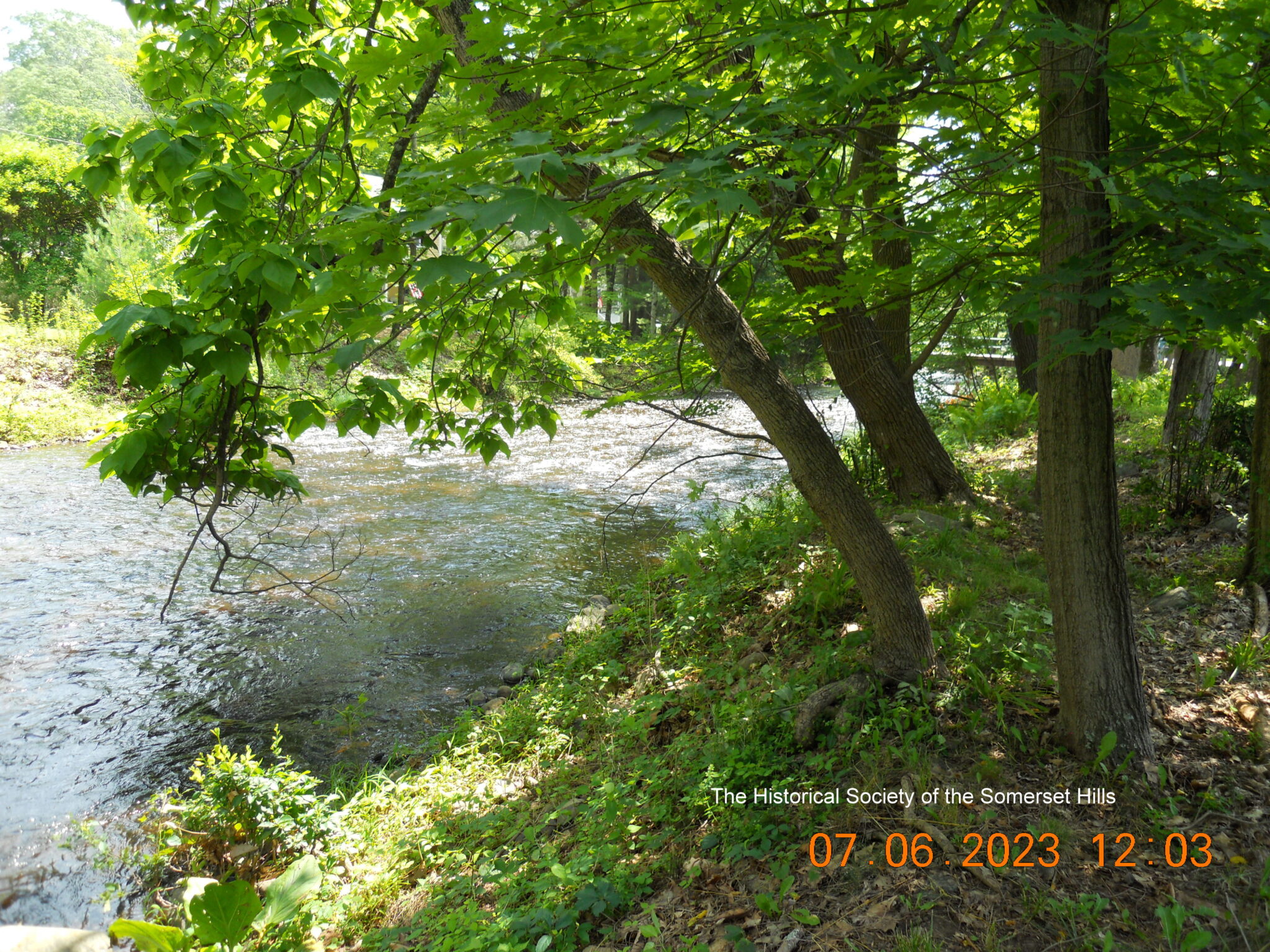Pottersville’s Lower Mill - The Official Site for The Historical ...