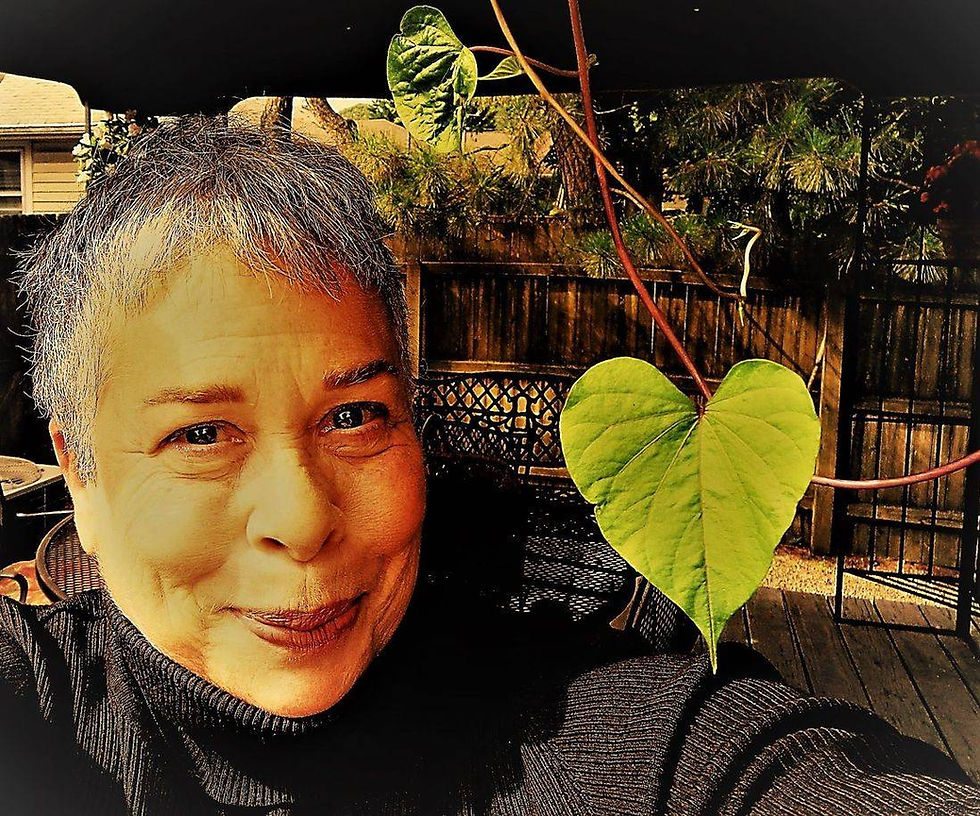 The Real Housewives of New Jersey: Early American Women & Their Kitchen ...